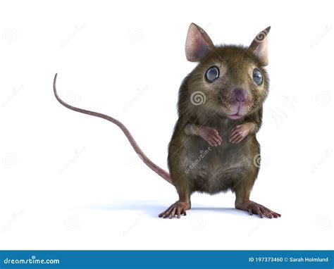 Mouse Standing In Welcome Pose Stock Image CartoonDealer 93174403