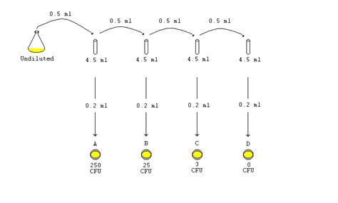 Serial Dilution Calculator Ppm