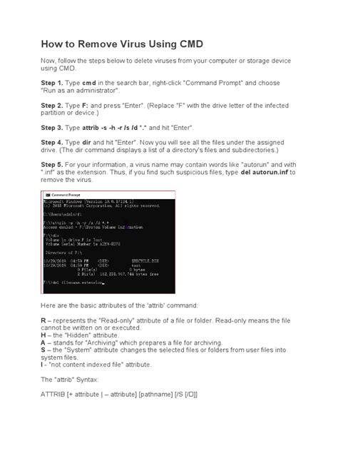 how to remove virus using cmd pdf computer file computer virus