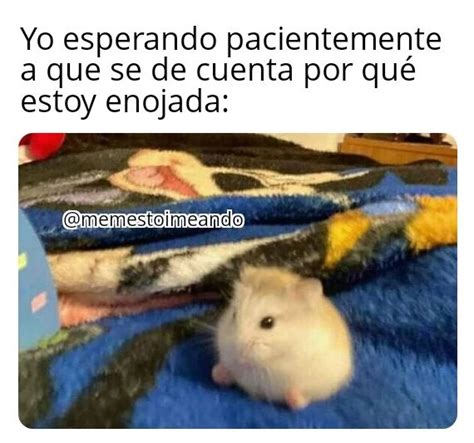 Yo después de criticar a alguien toda una tarde Pero quién soy yo