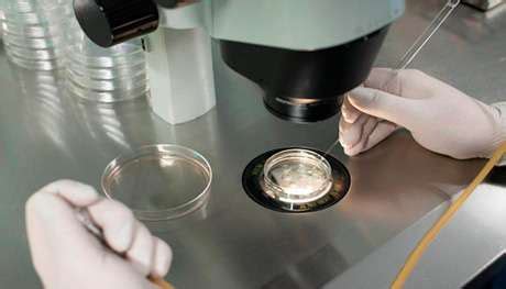 FIV Qué es Fecundación in Vitro