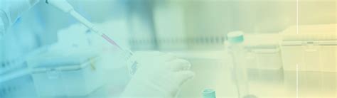 Elevando Estándares Ensayos de Biocompatibilidad en la Industria