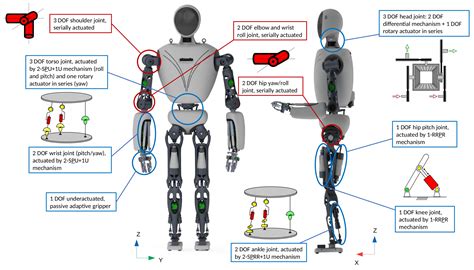 design analysis and control of the series parallel hybrid rh5 humanoid robot carlos mastalli