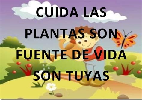 Cómo Crear un Cartel para Cuidar Las Plantas Métodos Fáciles 2024