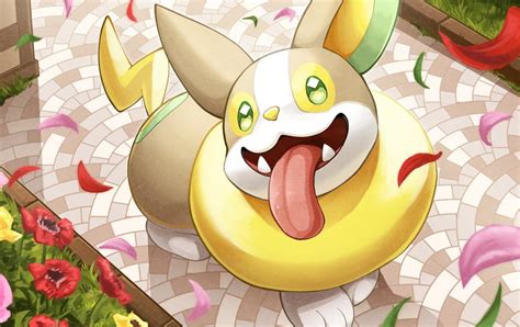 Yamper Pokemon Drawn By Hakuginnosora Danbooru