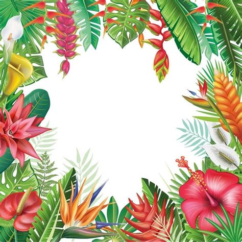 Tropical Leaves And Flowers Arranged In A Square Frame