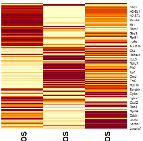 R Color Scale On Heatmap Stack Overflow