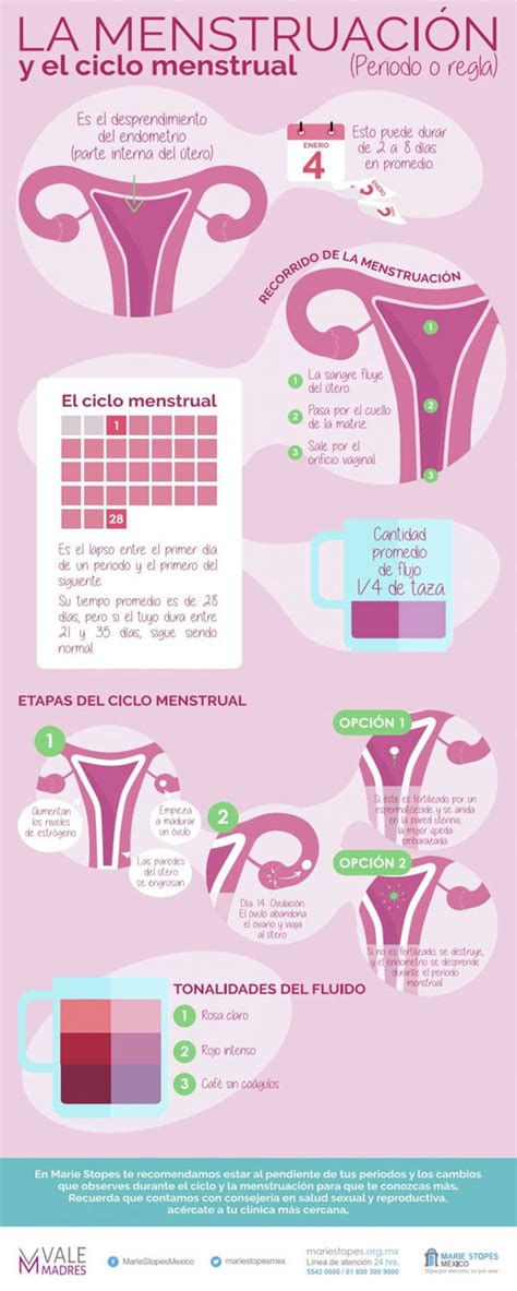 La Menstruaci N Y El Ciclo Menstrual Educaci N Sexual Sida Studi
