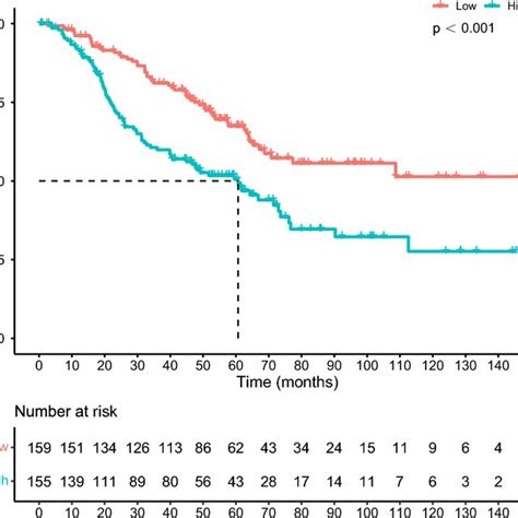 KaplanMeier Curves Of Melanoma Specific Survival For Patients In Low