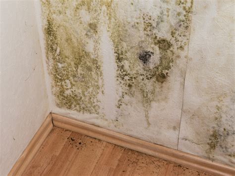 Besucher Unmöglich Pedal schrank an aussenwand stellen Diplom Prägnant Rand