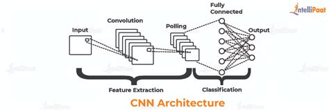 Convolutional Neural Network Cnn Architecture