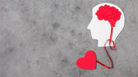 Saúde Mental Como se Manter Saudável Diário Pernambucano