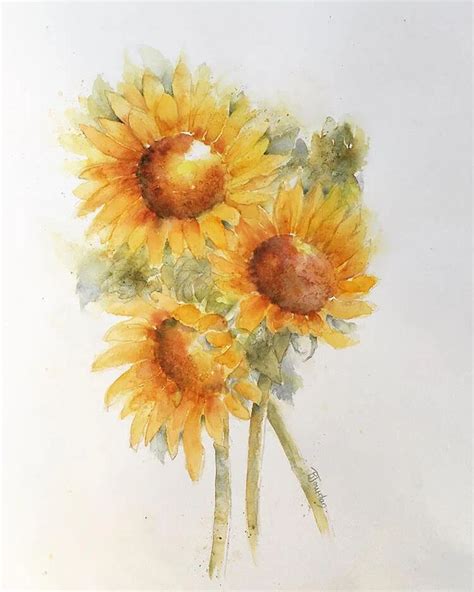 Watercolor Flower Painting Ideas For Beginners Beautiful Dawn