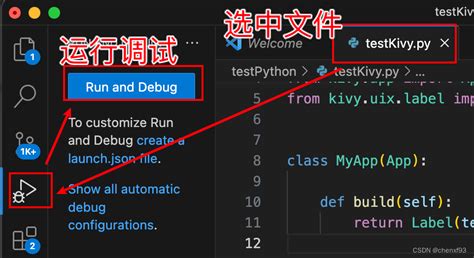【python vscode】调试 debug 技巧，带参数文件和模块调试 python vscode debug csdn博客