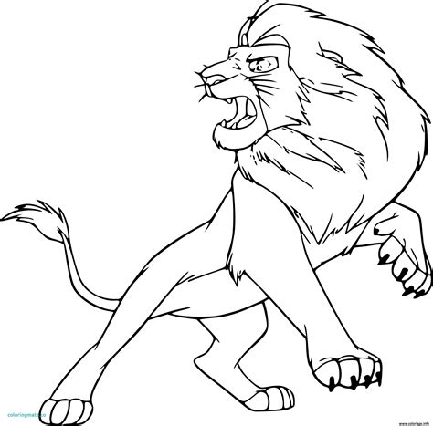 Coloriage Animaux Lion De Gulli Dessin Gulli à imprimer