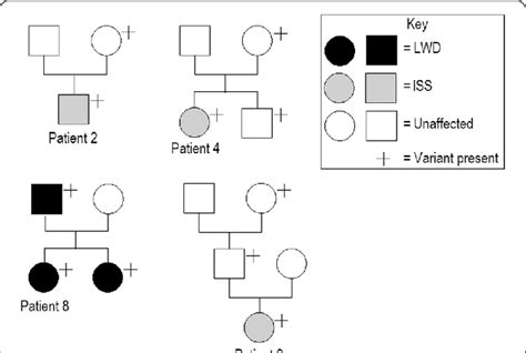 pedigrees and inheritance patterns of the four families where samples download scientific