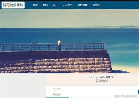 nodejs网上鲜花预订系统 vue鲜花商城销售系统7jd2m 基于vue nodejs的植物花卉在线预订系统可以搜索哪些方面的文献 csdn博客