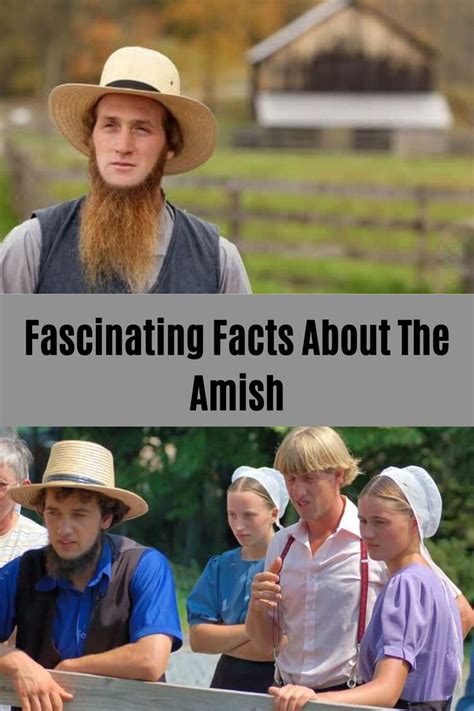 Amish Men Amish Community Before Marriage Long Beards Eighth Grade First Night Beliefs