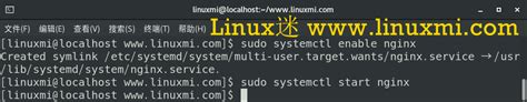 如何在 linux 上安装 nginx web 服务器 linux迷
