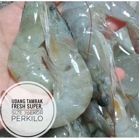 Jual UDANG VANAME SEGAR UDANG TAMBAK UDANG PUTIH FRESH SUPER