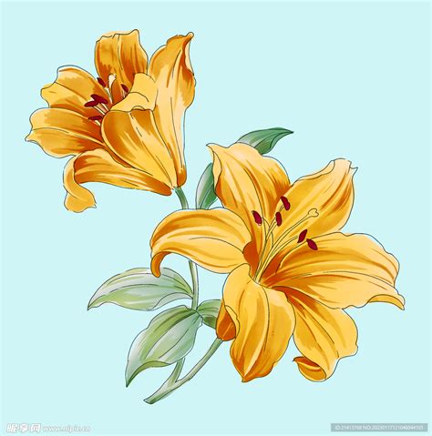 鲜花百合花 设计图 背景素材 PSD分层素材 设计图库 昵图网nipic