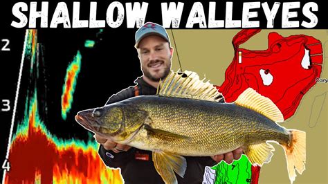 Jigging Shallow Spring Walleyes Northland Fishing Tackle