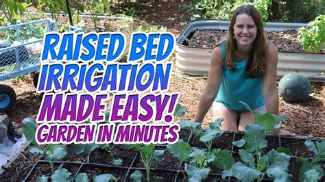 Quick And Easy Raised Bed Irrigation System Garden In Minutes YouTube