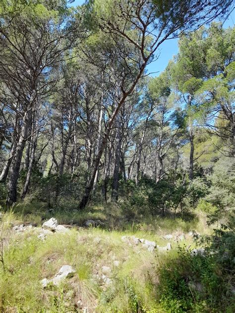 Galerija slika Zemljište prodaja BRELA SPLITSKO DALMATINSKA REC