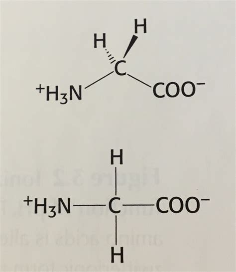 The Amino Acids Flashcards Memorang