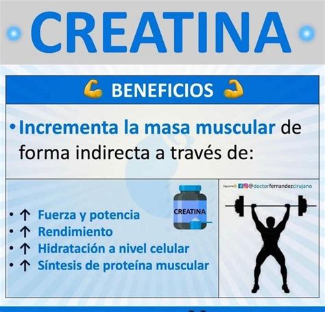 Creatina Para Que Serve