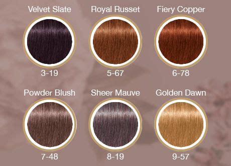 Igora Royal Color Chart Copper Hair Color Loreal