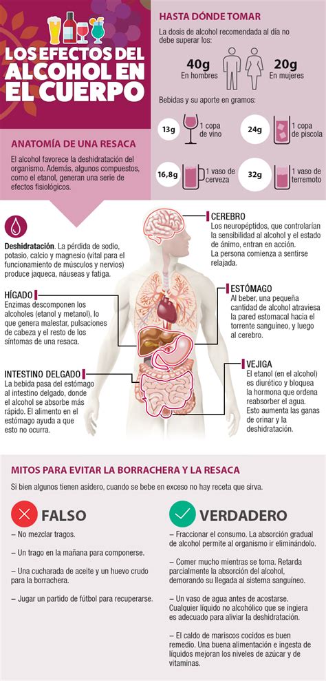 QUE PARTE DEL CUERPO AFECTA EL ALCOHOL Mentalidad Humana