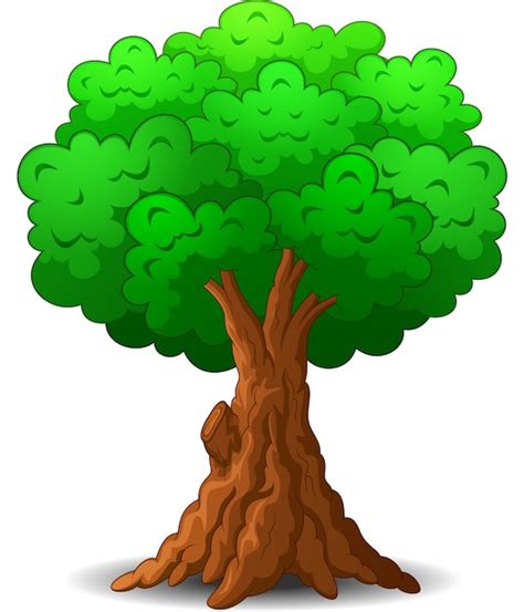 Dibujos animados de árbol sobre fondo blanco Vector Premium