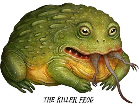 Crazy Monster Frogs Illustration