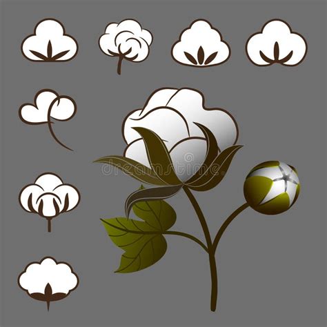 Plantas de algodón ilustración del vector Ilustración de ginebra