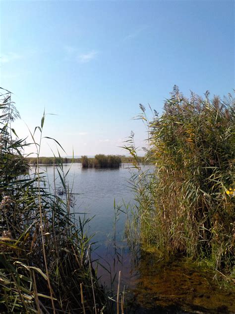 Banco de imagens panorama mar árvore agua natureza grama