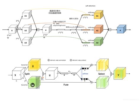 【cv中的attention机制】selective kernel networks se进化版 pprp 博客园