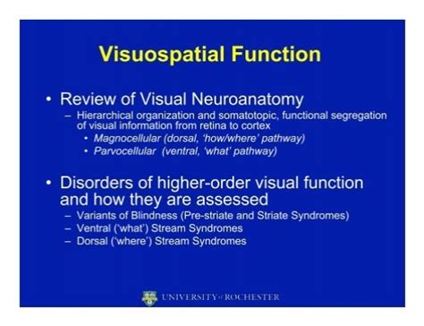 visuospatial function
