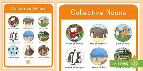 Second Grade Collective Nouns Poster Hecho Por Educadores