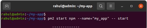 Running Npm Start With PM2 TecAdmin