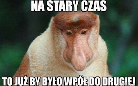 Zmiana czasu na zimowy 2023 Zobacz najlepsze MEMY Z czego śmieją się