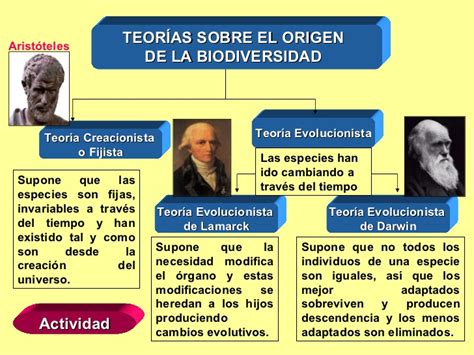 Evoluci N De Los Seres Vivos Lamarck Y Darwin