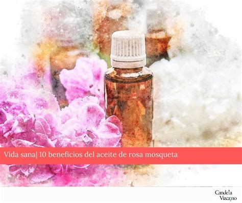 10 Beneficios del aceite de rosa mosqueta Candela Vizcaíno
