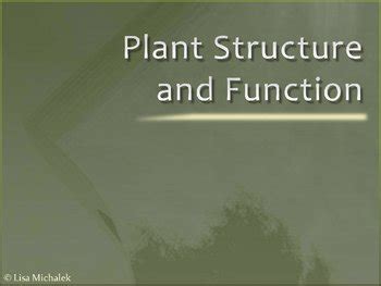 Plant Structure And Function Powerpoint Presentation Lesson Plan