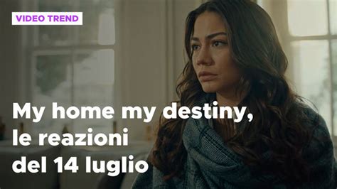 My Home My Destiny Il Riassunto E Le Reazioni Della Puntata Del 14