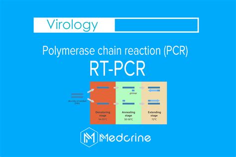 Polymerase Chain Reaction Pcr Principles And Applications Medcrine