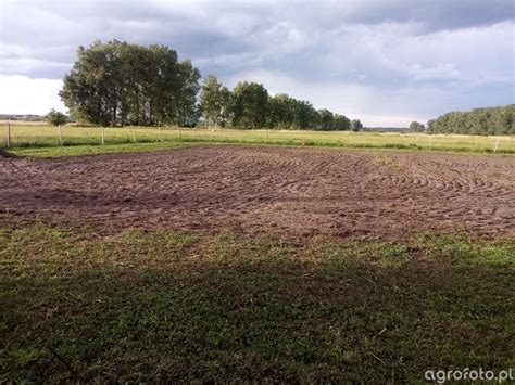 Pole po ziemniakach zdjęcie fotka foto numer 819537 Galeria