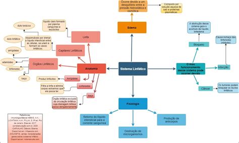 Mapas Mentais Sobre SISTEMA LINFATICO Study Maps