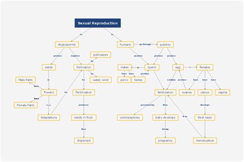 Nervous System Concept Map Template EdrawMind