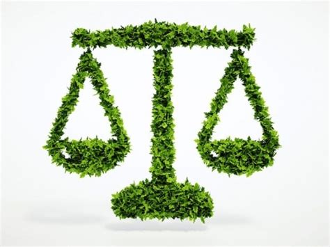 Qual a Importância da Legislação Ambiental para sua Empresa